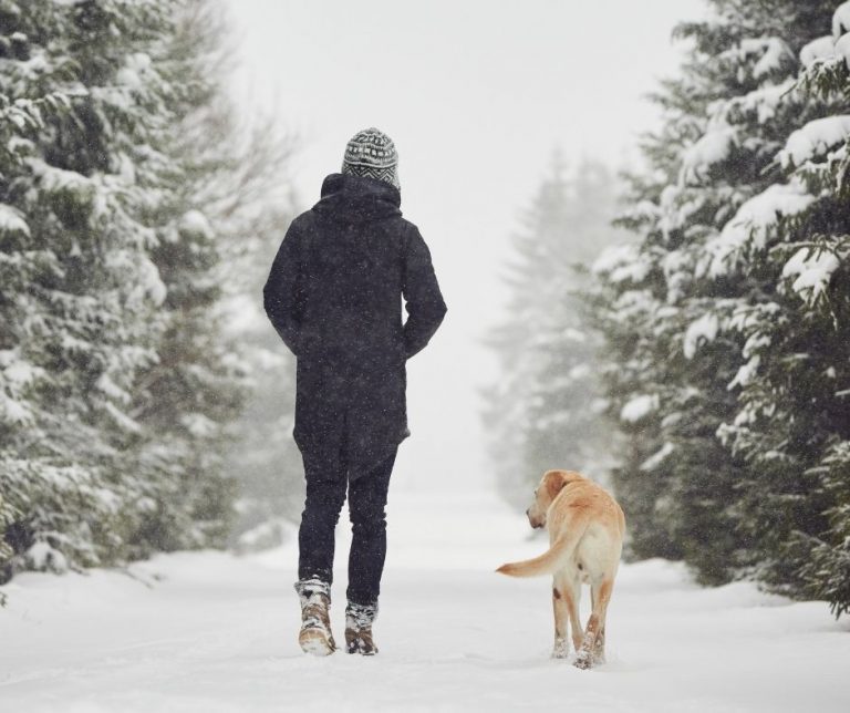 how to maintain your successful walking habit through winter
